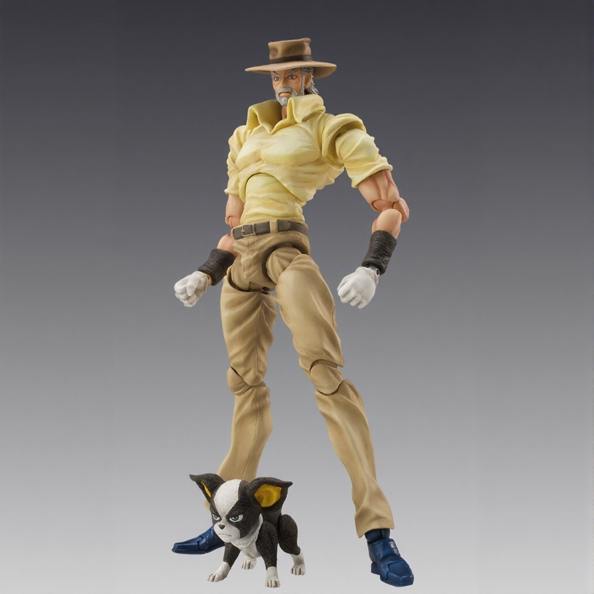Jojo's Bizarre Adventure - Stardust Crusaders - Hermit Purple - Iggy ...